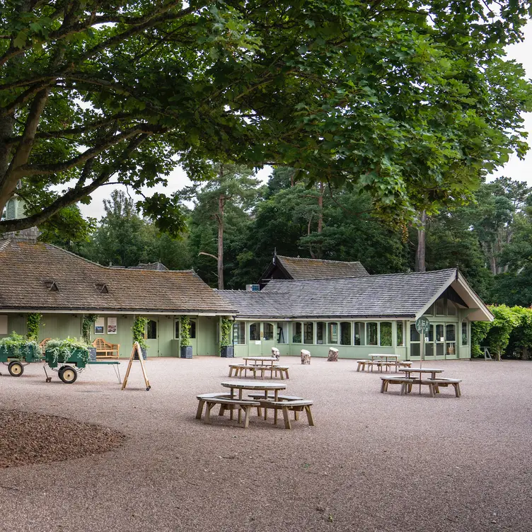 Restaurante Sandringham Restaurant - Sandringham, Norfolk | OpenTable