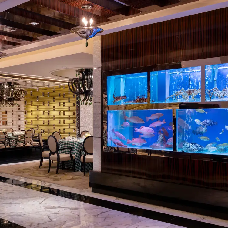 Tam Chai Yu Chun Restaurant - Cotai, Cotai | OpenTable