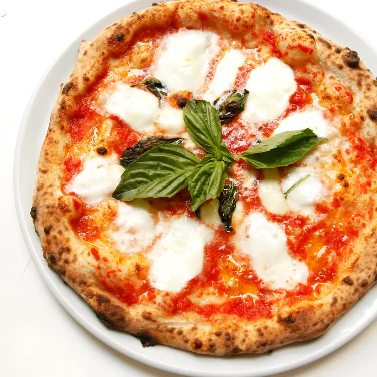 Restaurante Ribalta Pizza - New York, , NY | OpenTable