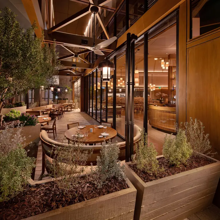 Nobu Scottsdale Restaurant - Scottsdale, AZ | OpenTable