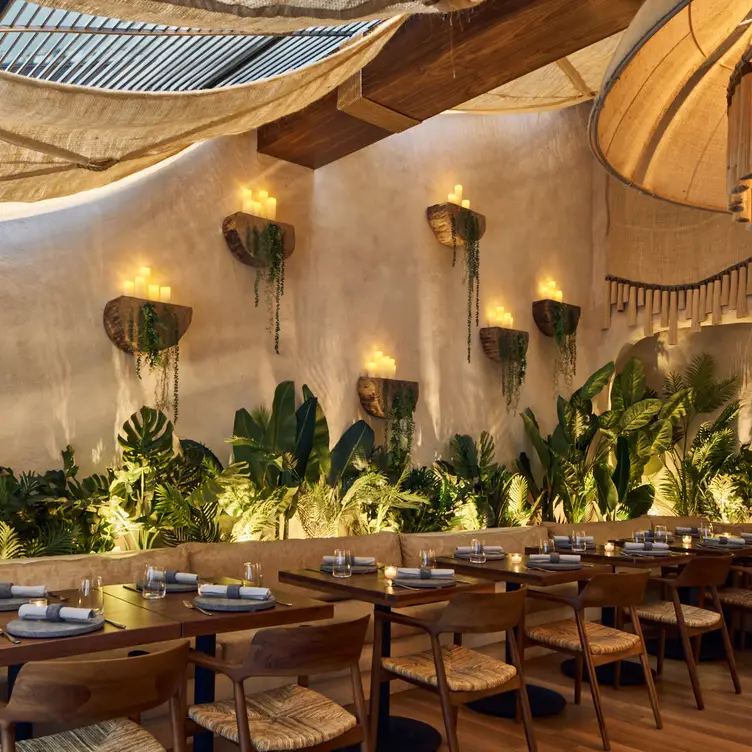 tán Restaurant - New York, NY | OpenTable