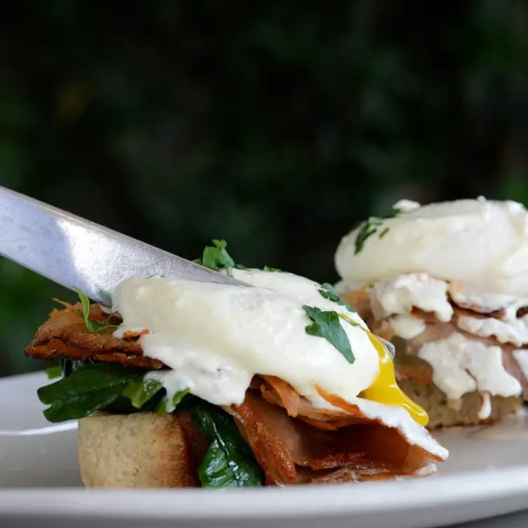 Angelo Elia Pizza Bar & Tapas - Coral Springs Restaurant - Coral ...