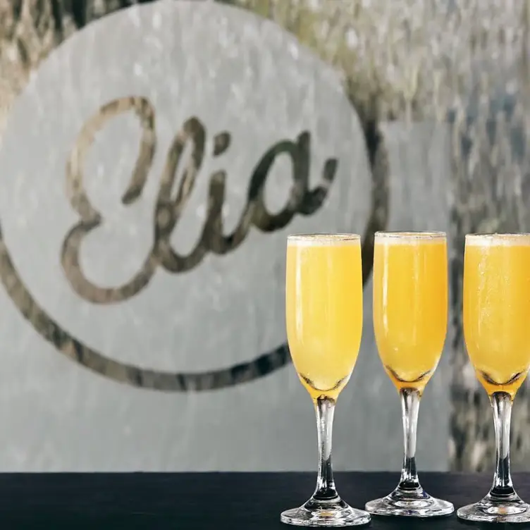 Angelo Elia Pizza Bar & Tapas - Coral Springs Restaurant - Coral ...