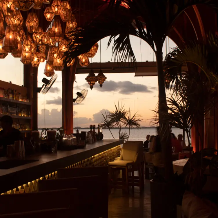 Mono Restaurant Cancún - Cancún, ROO | OpenTable