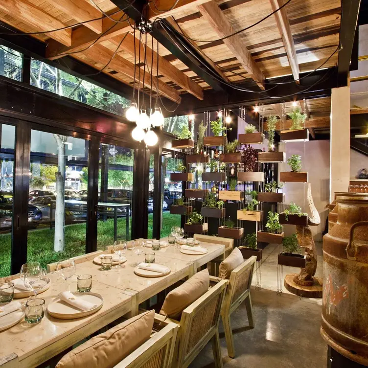 Restaurante Nectar - Mérida - Mérida, , YUC | OpenTable