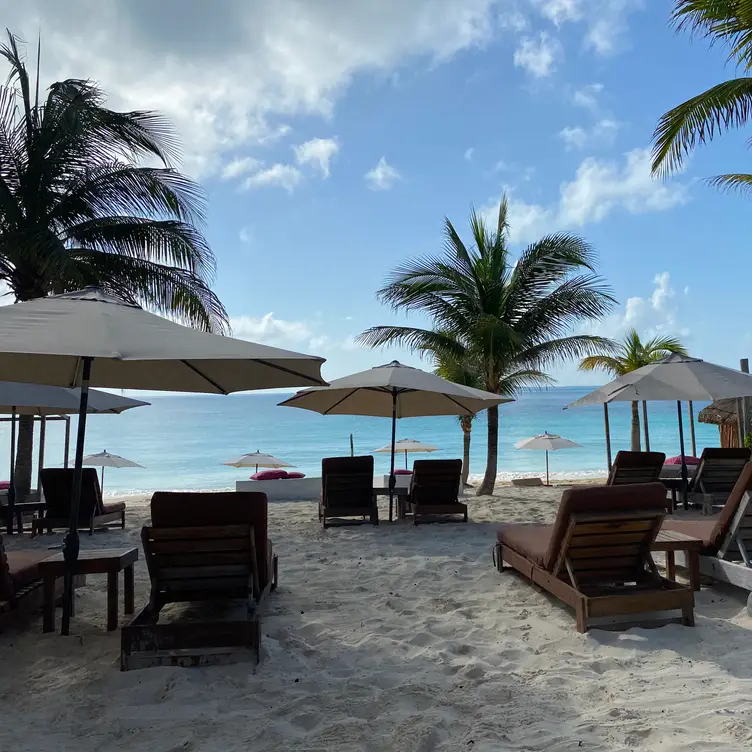 Punta Blanca Beach House Restaurant - Cancún, ROO | OpenTable