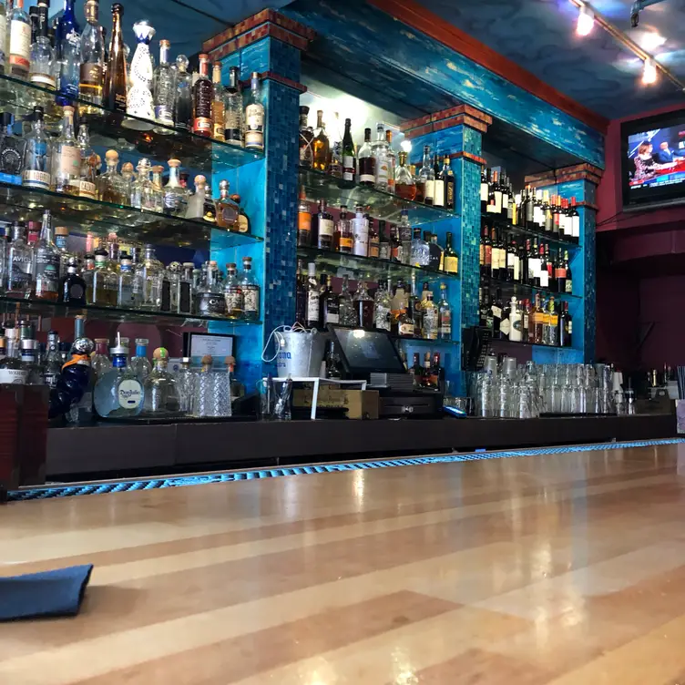 Pacifico - New Haven, CT Restaurant - New Haven, , CT | OpenTable