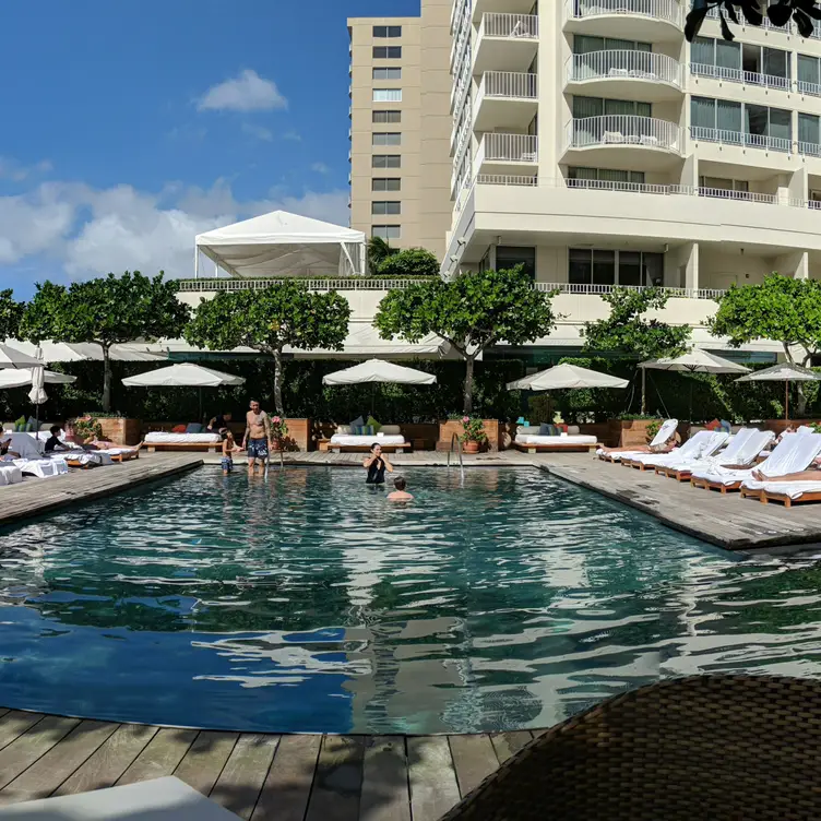 The Grove at The Modern Honolulu Restaurant - Honolulu, , HI | OpenTable