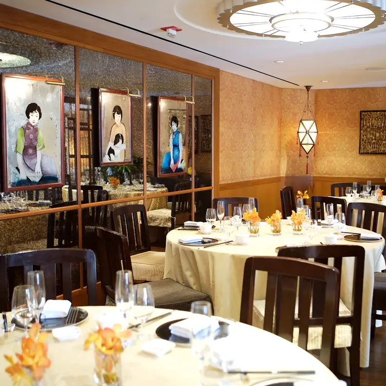 Shanghai Terrace Restaurant - Chicago, IL | OpenTable