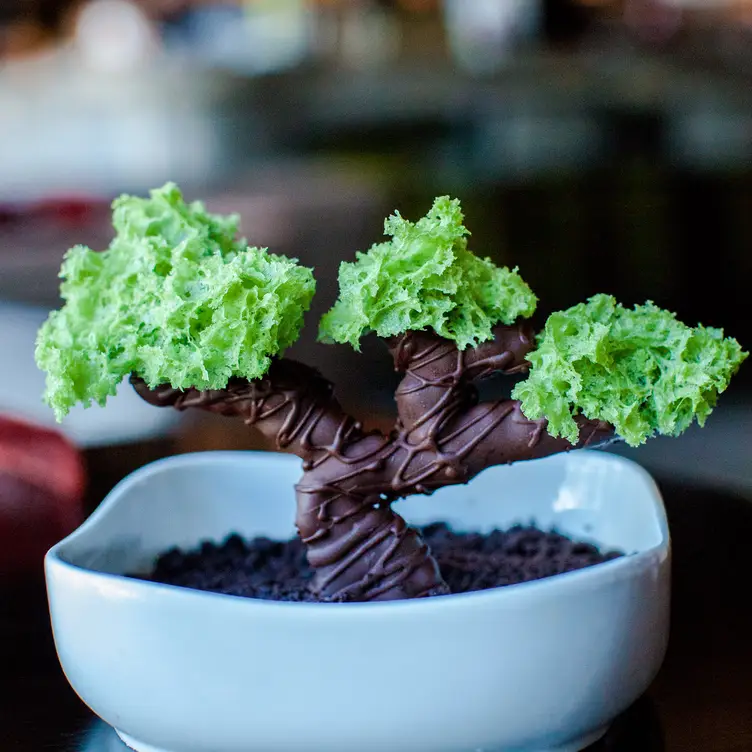 Taikun at The Ritz Carlton, Grand Cayman Restaurant - George Town ...