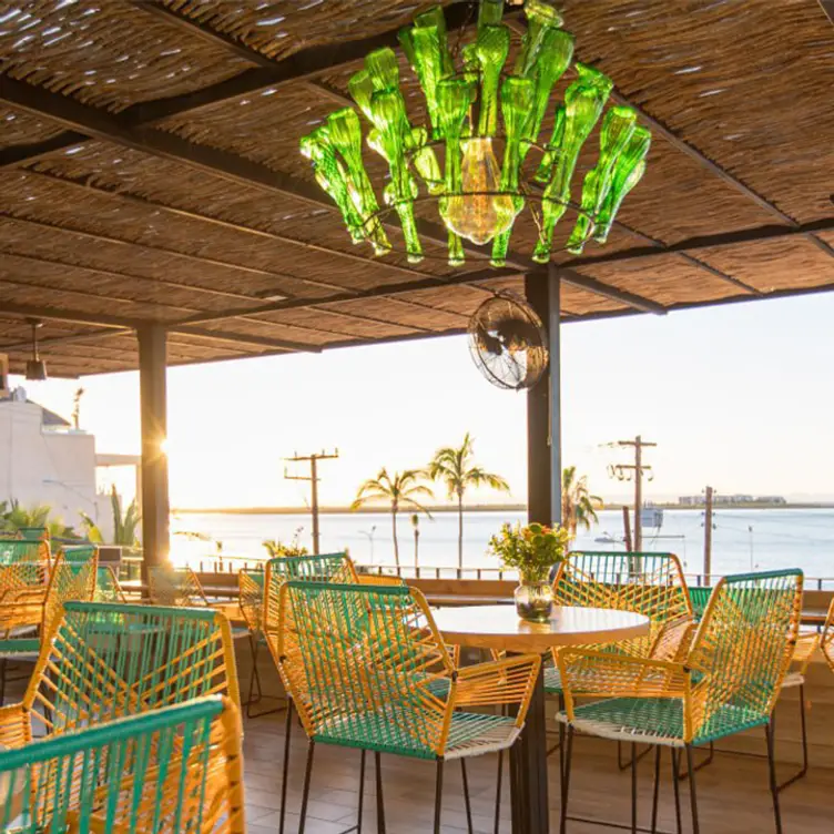 Toto Frito Fish & Chips - Suc. La Paz - Updated 2024, Seafood ...