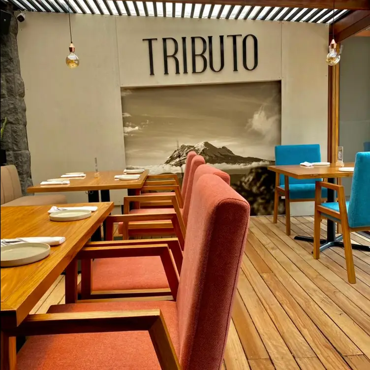 Tributo Restaurante - Updated 2025, International Restaurant in Quito ...