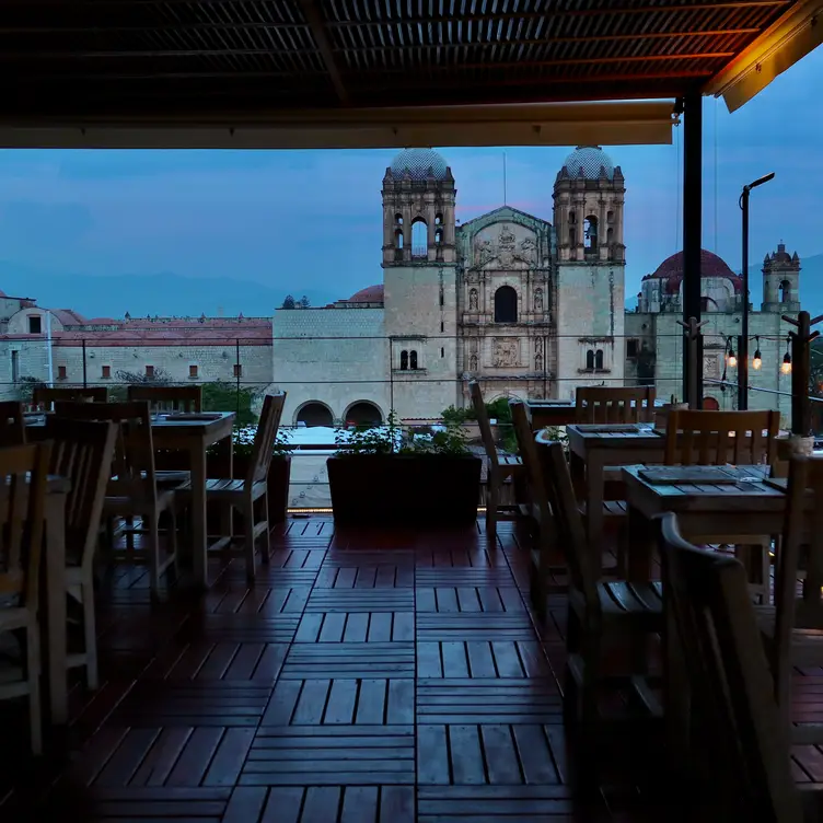 Restaurante Pitiona Cocina de Autor - Oaxaca, OAX | OpenTable