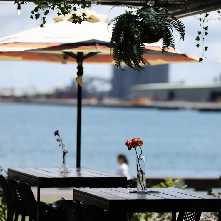Harbour Bar Restaurant - Newcastle, AU-NSW | OpenTable