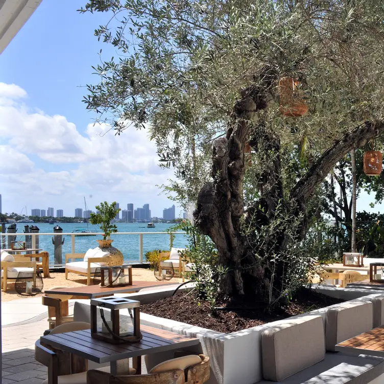 Pamplemousse On The Bay - Updated 2024, Mediterranean Restaurant in ...