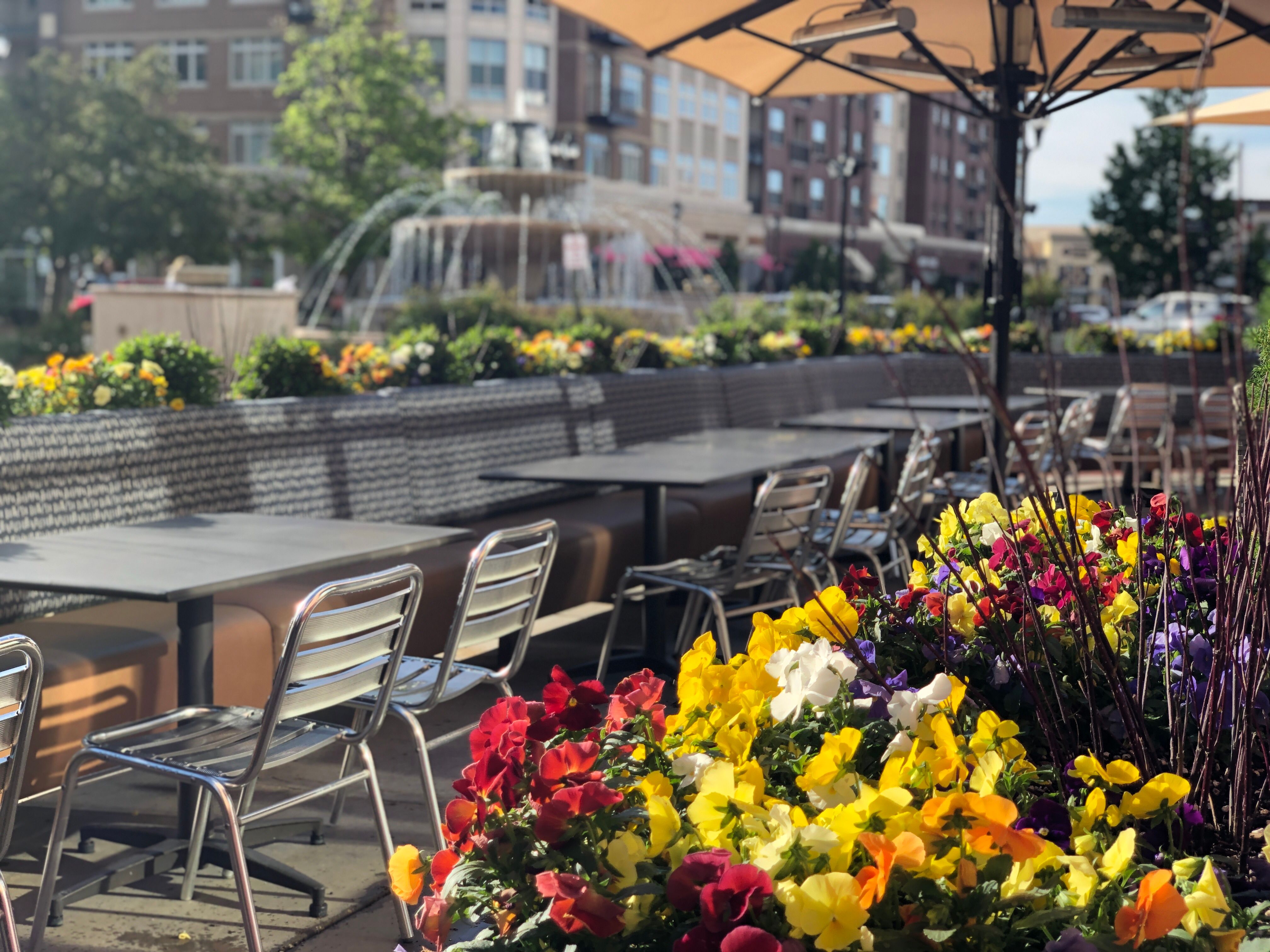 Indulge Bistro & Wine Bar - Centennial | United States | Venue Report