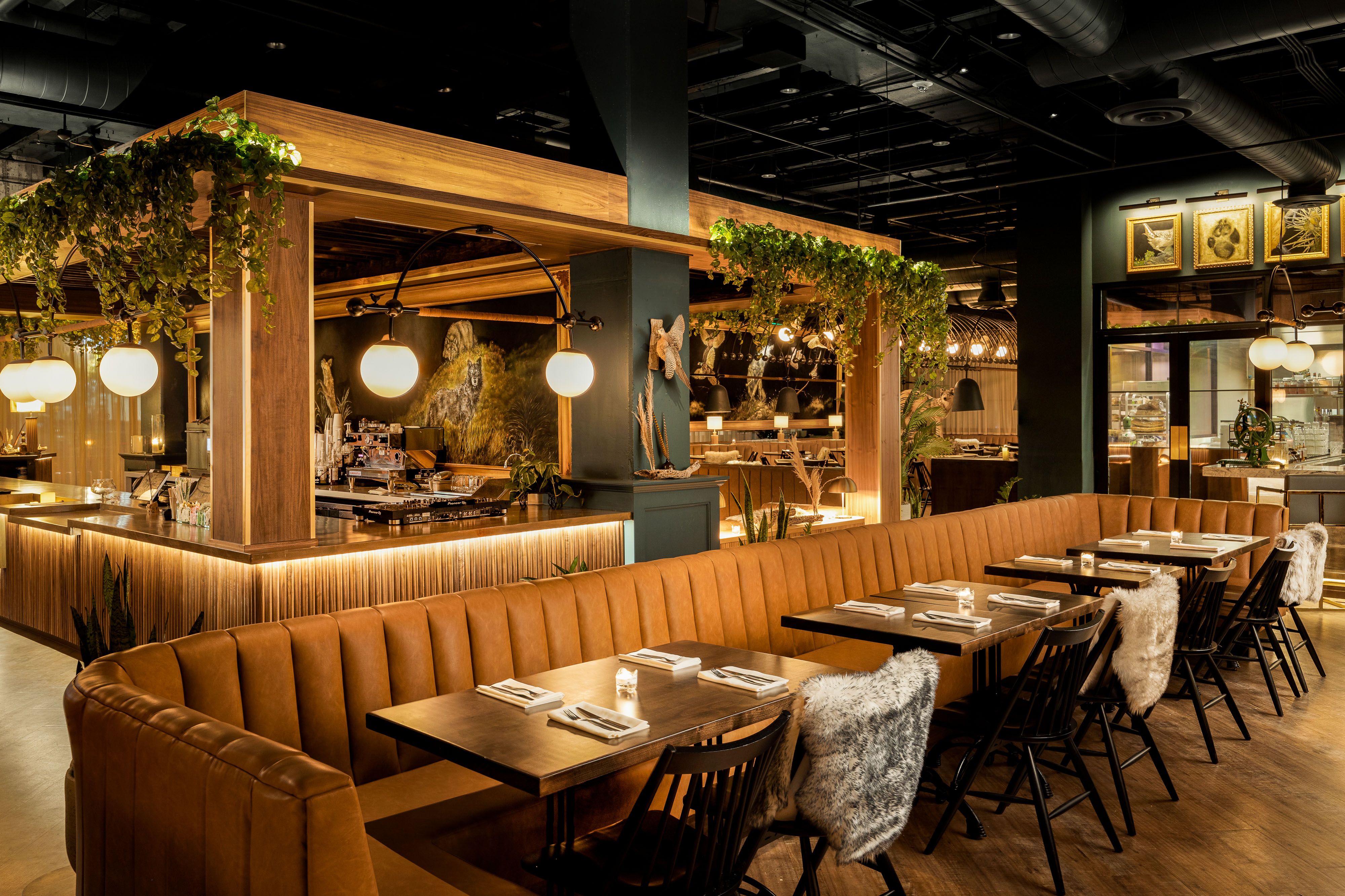 Wren & Wolf | Phoenix, Arizona, United States | Venue Report