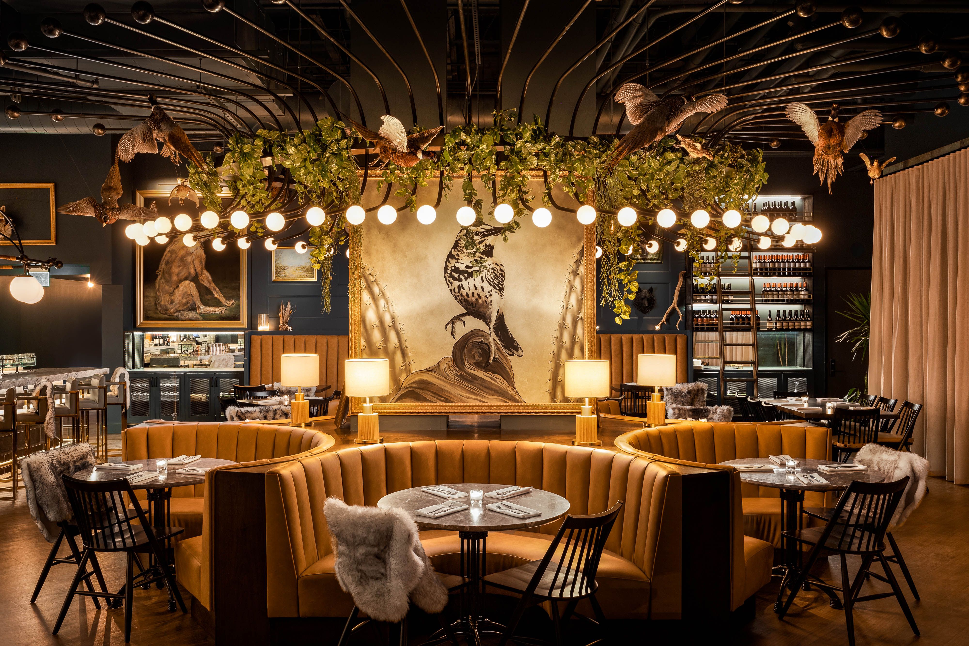 Wren & Wolf | Phoenix, Arizona, United States | Venue Report