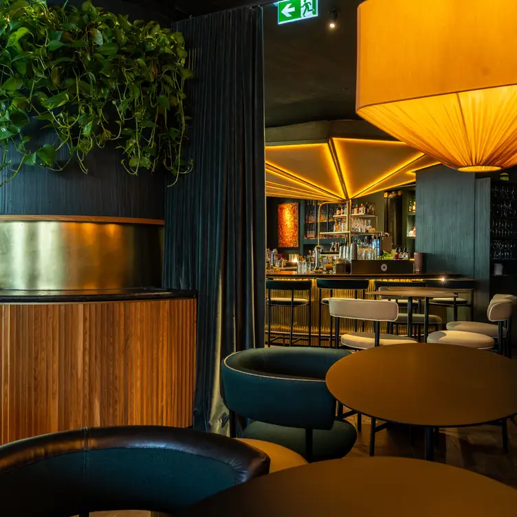 Ory Bar | Germany | Venue Report