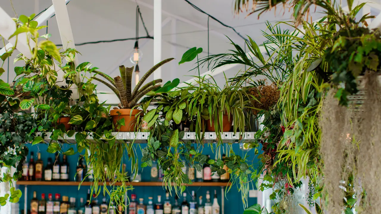 Spero Restaurant - Mooloolaba, AU-QLD | OpenTable