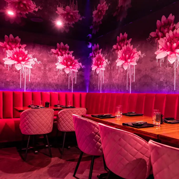 TEN Sushi + Cocktail Bar - Houston | Houston, Texas, United States ...