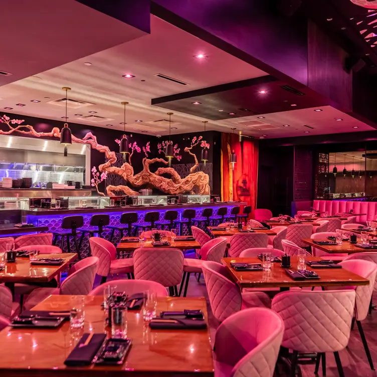 TEN Sushi + Cocktail Bar - Houston | Houston, Texas, United States ...