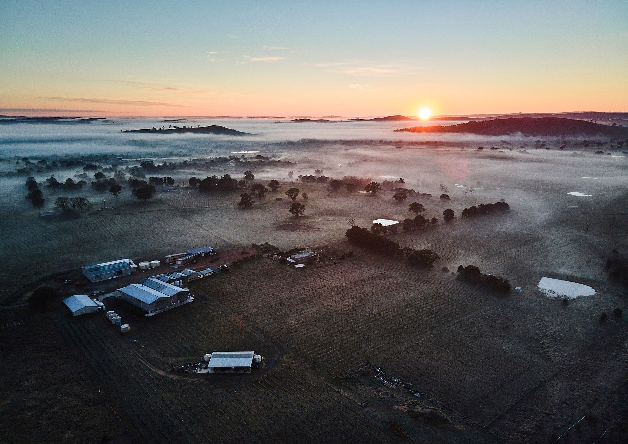 Clonakilla Wines | Australia | Venue Report