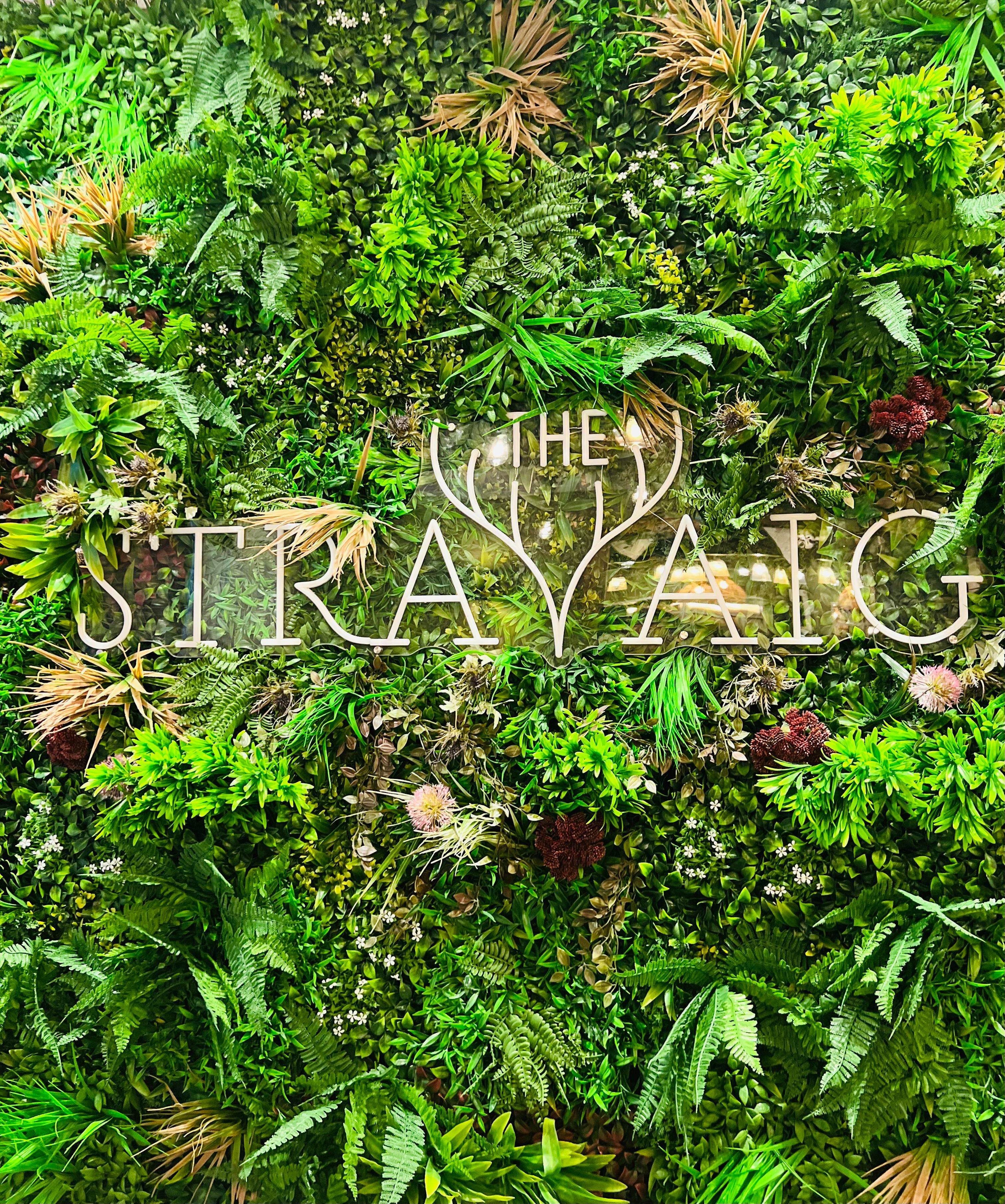 The Stravaig | Venue Report