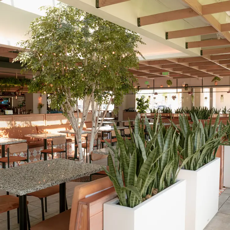 Ini Ristorante | United States | Venue Report