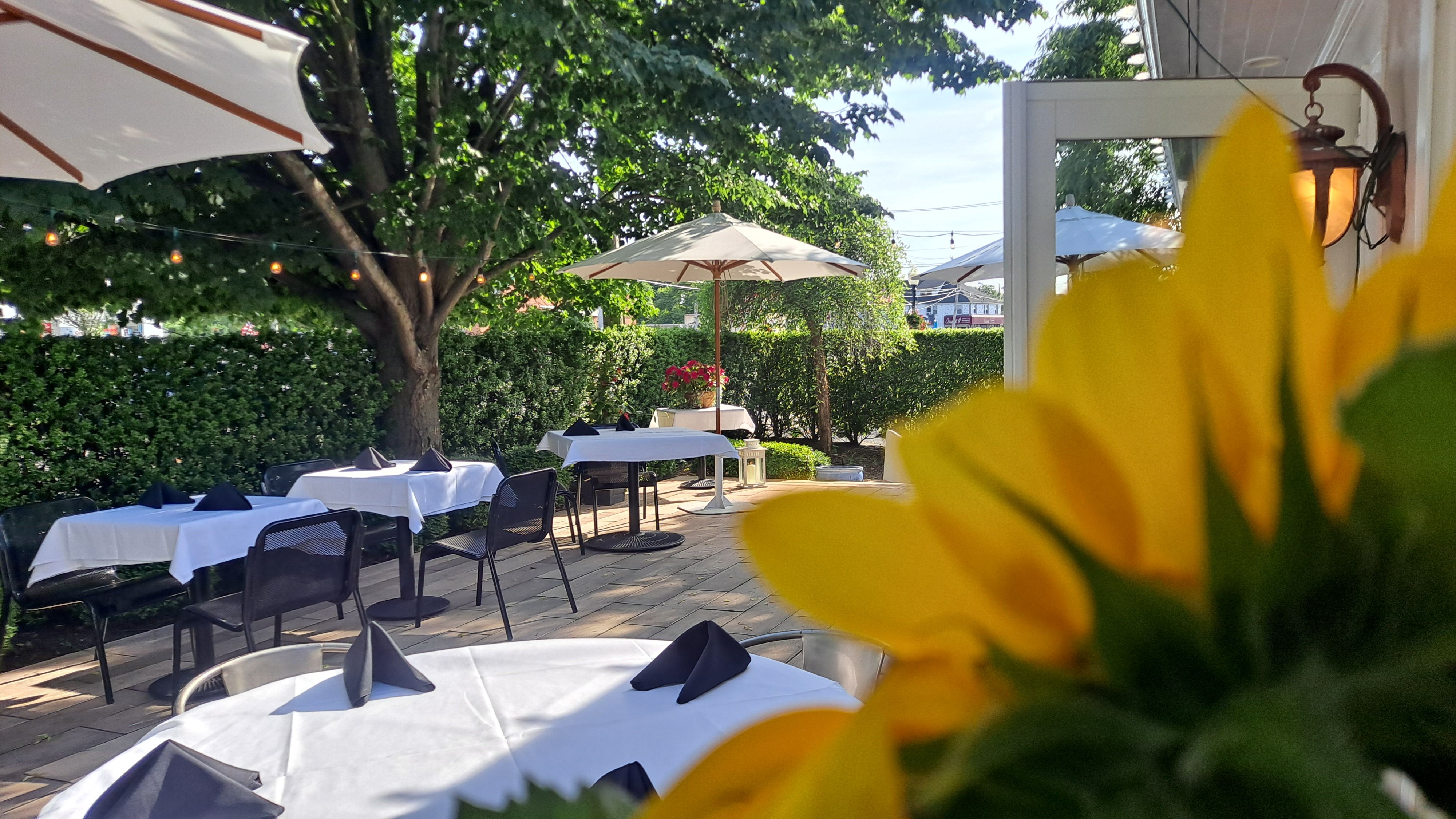 Sunflower Café & Bakery | United States | Venue Report