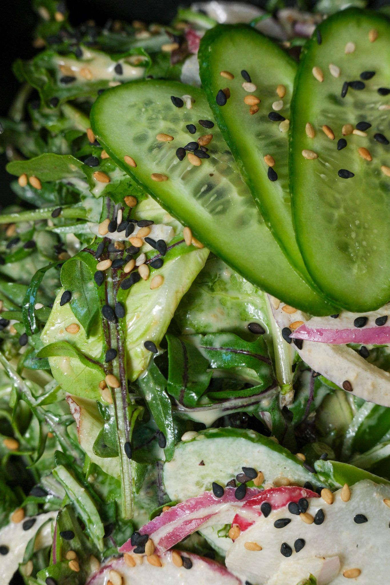 The Ballard Cut | Washington, Washington, United States | Venue Report