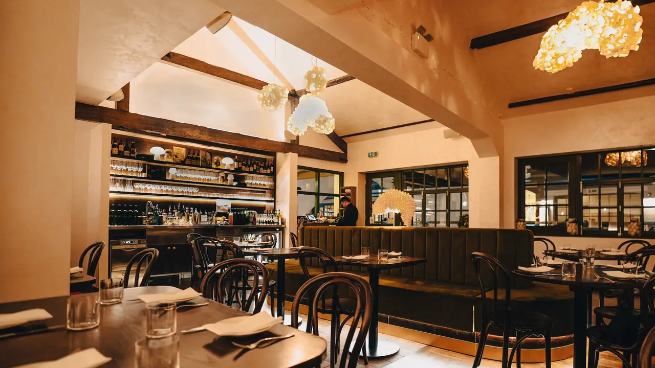 Donia Restaurant - London, Greater London | OpenTable