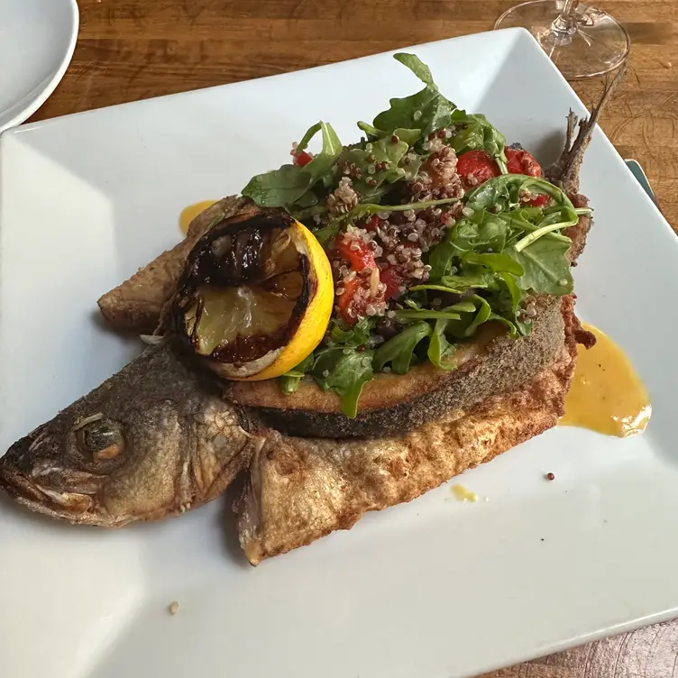 Pacifico - New Haven, CT Restaurant - New Haven, CT | OpenTable