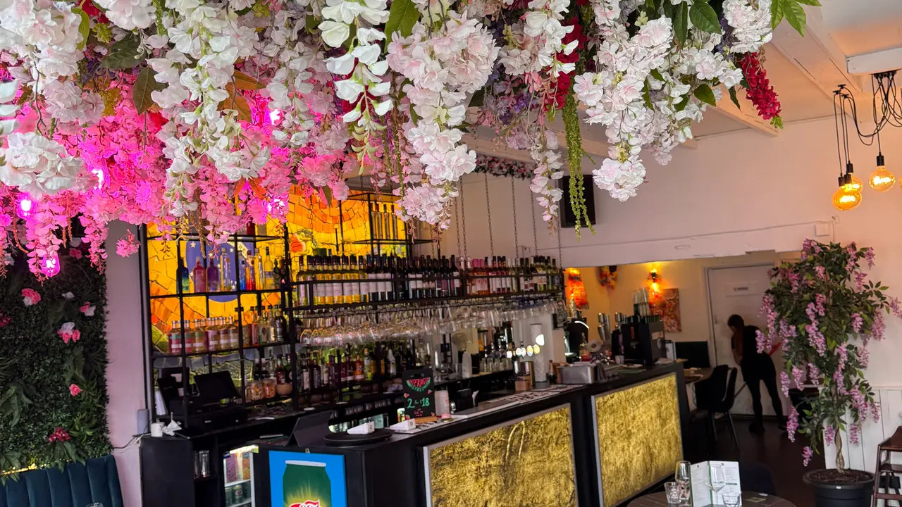 Lost in Rio Restaurant - Plymouth, Plymouth | OpenTable