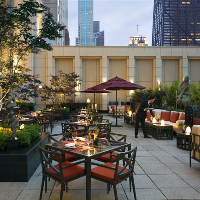 Shanghai Terrace Restaurant - Chicago, IL | OpenTable