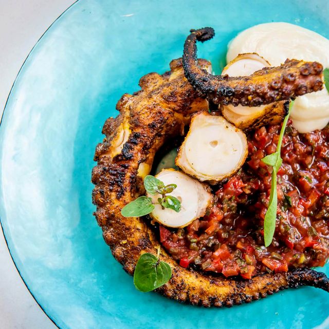 Darya Restaurant - Halifax, NS | OpenTable