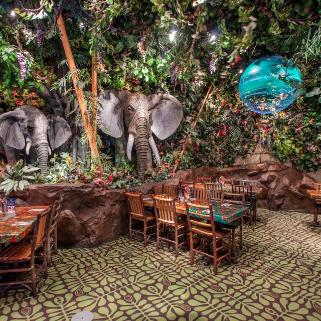 Rainforest Cafe - Detroit Great Lakes Restaurant - Auburn Hills, MI ...
