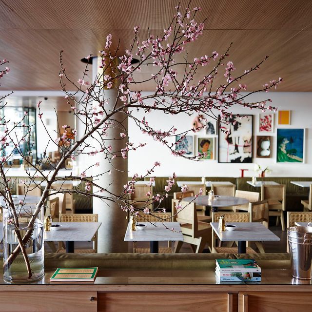 bills Bondi Beach - Updated 2026, Modern Australian Restaurant in Bondi ...