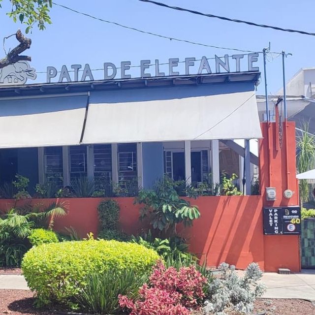Pata De Elefante- Chapalita Restaurant - Guadalajara, JAL | OpenTable