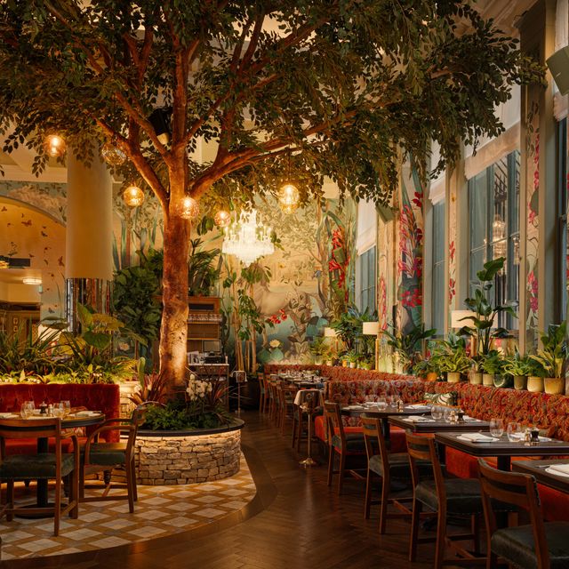 Ivy Liverpool Restaurant - Liverpool, Merseyside | OpenTable